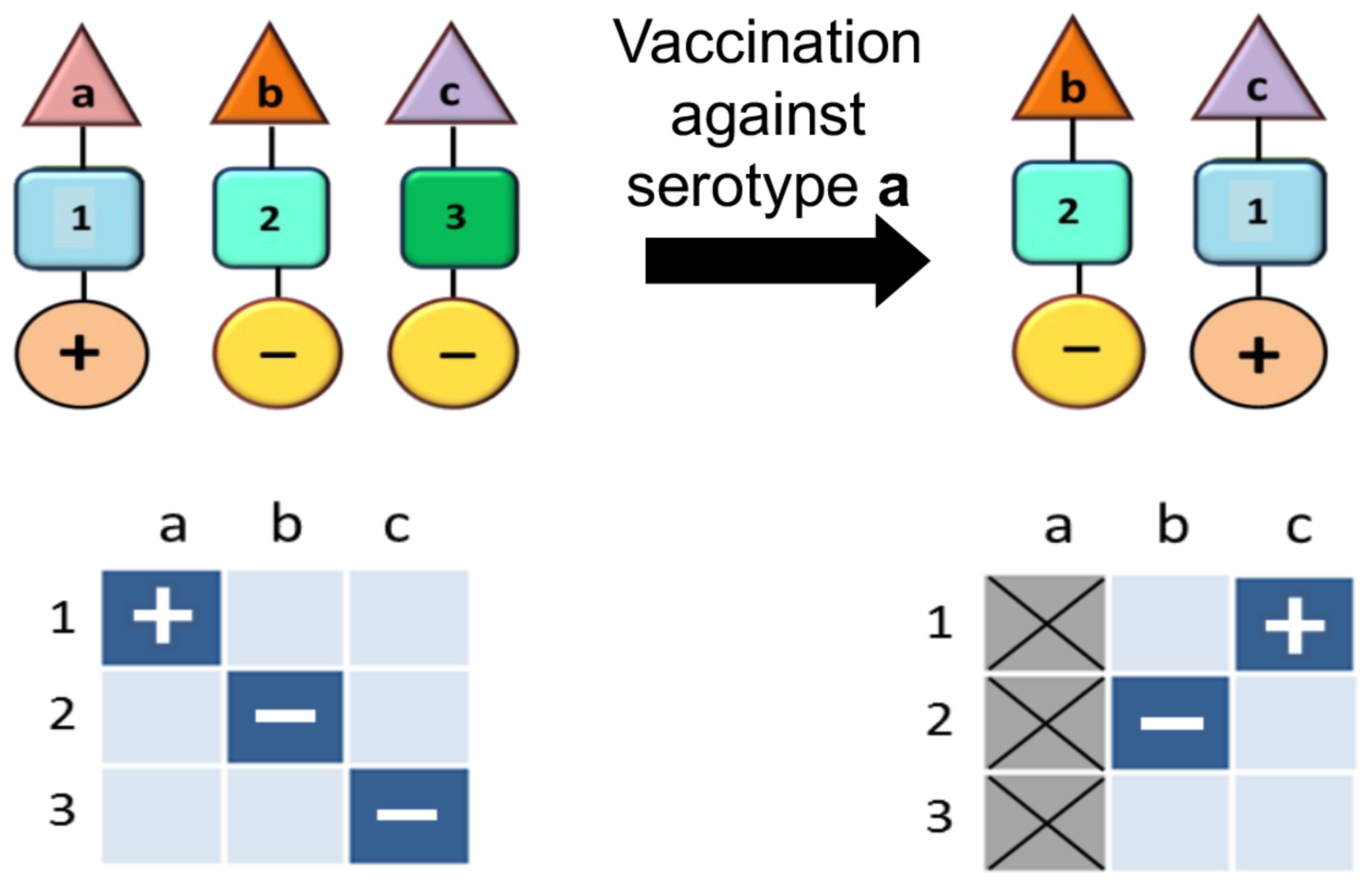 Evolution of pathogen virulence - Collateral Global